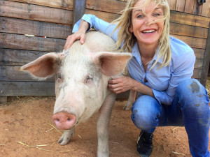 ΑΠΙΣΤΕΥΤΟ! Ο Pigcasso… το γουρούνι που ΖΩΓΡΑΦΙΖΕΙ!!! – Makeleio.gr