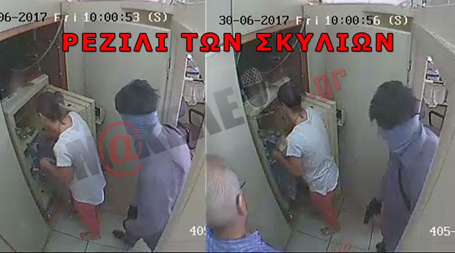 ΜΕΓΑ ΦΙΑΣΚΟ ΤΗΣ ΕΛ.ΑΣ ΣΕ ΕΝΟΠΛΗ ΛΗΣΤΕΙΑ ΜΕ ΟΜΗΡΕΙΑ Κ’ ΜΕ “ΑΡΩΜΑ ...