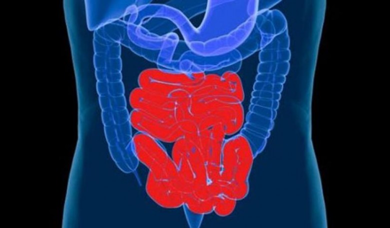 ΣΠΙΤΙΚΗ ΣΥΝΤΑΓΗ ΘΑΥΜΑ ! Καθαρίστε το έντερο σας με αυτόν τον τρόπο ...