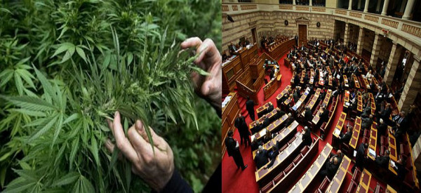 Μετά την ΑΛΛΑΓΗ ΦΥΛΟΥ… έρχεται στη Βουλή ο ΝΟΜΟΣ για ΕΛΕΥΘΕΡΗ ΚΑΝΝΑΒΗ ...