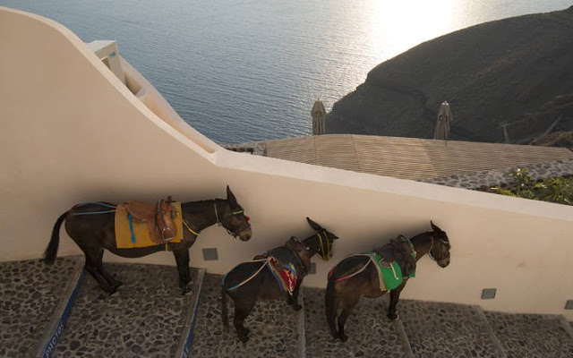 Το μικρό «βρώμικο» μυστικό της Σαντορίνης! – Makeleio.gr