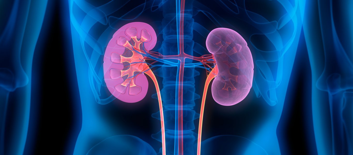 Αυτές είναι οι τροφές «δηλητήριο» για τα νεφρά – Makeleio.gr