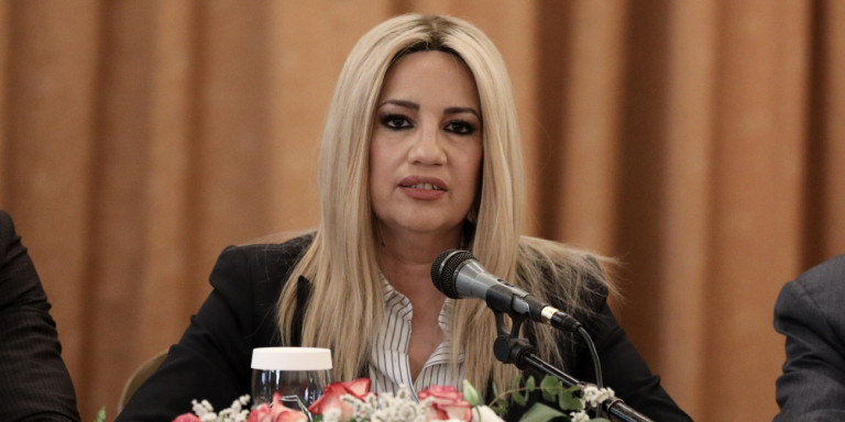 ΩΡΑ 20:01! ΣΟΚ τώρα με την Φώφη Γεννηματά! – Makeleio.gr