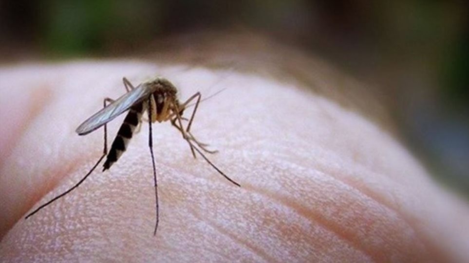 ΣΥΝΑΓΕΡΜΟΣ: ΔΥΟ ΝΕΚΡΟΙ ΑΠΟ ΤΟΝ ΙΟ ΤΟΥ ΔΥΤΙΚΟΥ ΝΕΙΛΟΥ – ΠΟΙΕΣ ΠΕΡΙΟΧΕΣ ...