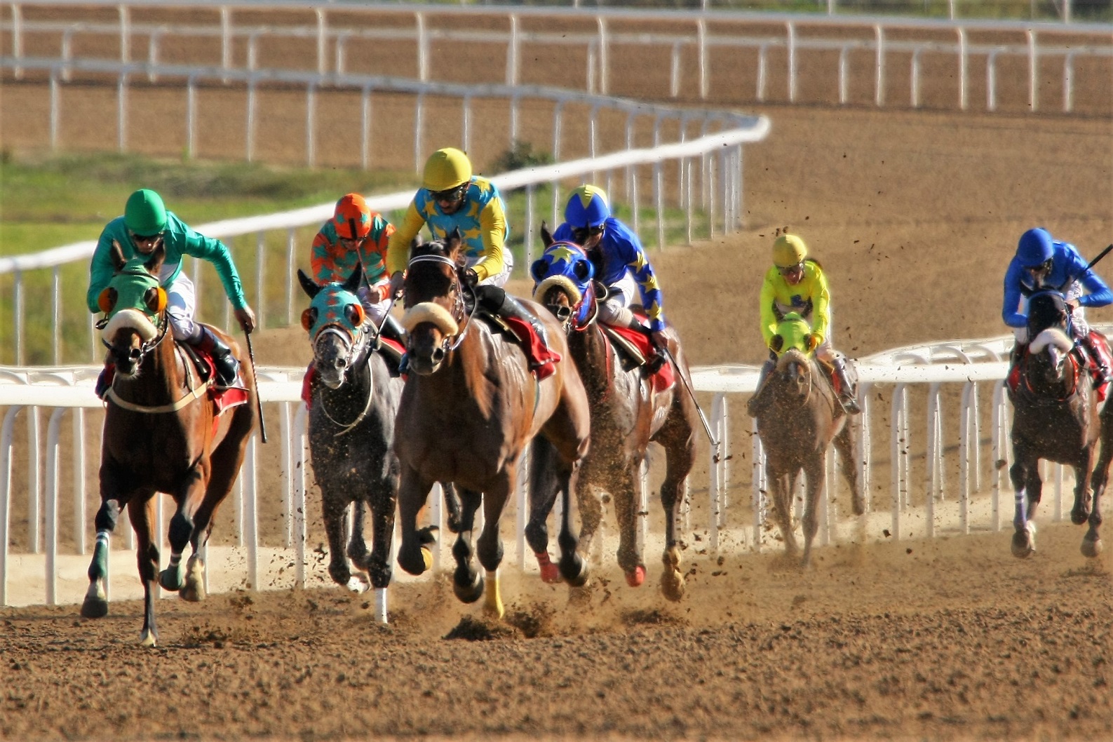 Markopoulo Park: Ρεκόρ συμμετοχών με 73 ίππους – Makeleio.gr