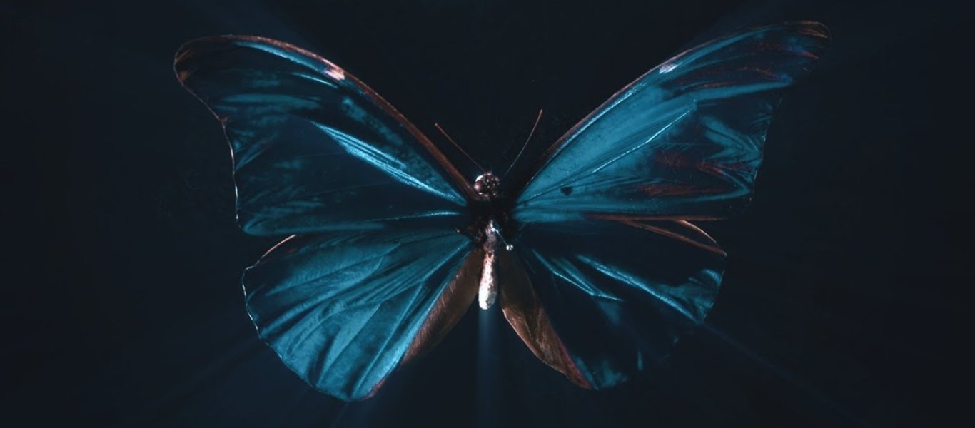 Τι είναι το φαινόμενο της πεταλούδας; – Makeleio.gr