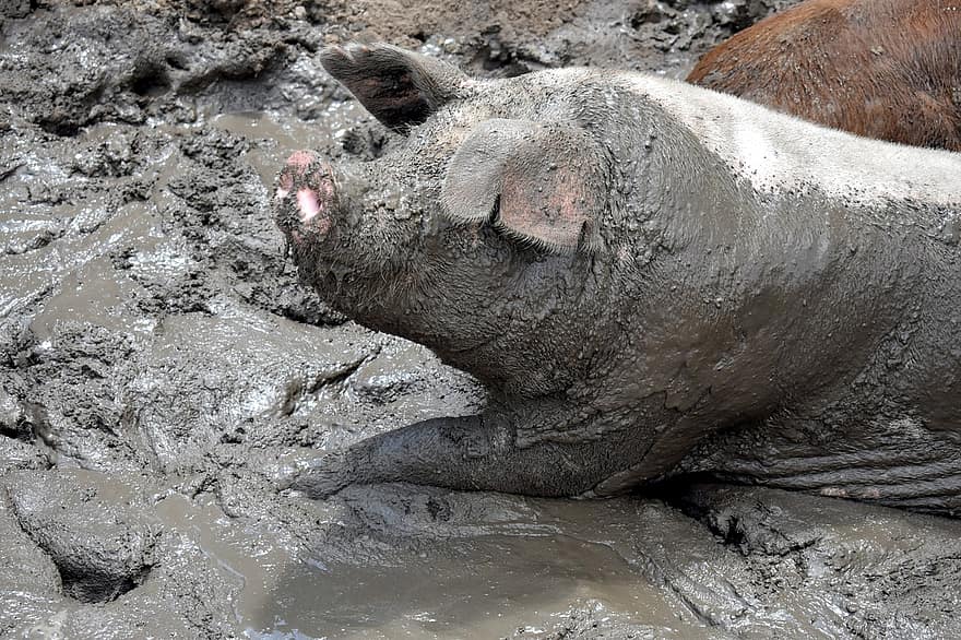 ΤΑ ΑΠΟΒΡΑΣΜΑΤΑ ΤΟΥ FACEBOOK – ΤΑ ΓΟΥΡΟΥΝΑΚΙΑ ΤΗΣ ΣΕΛΙΔΑΣ “ΜΠΕΕ Μεγάλο ...