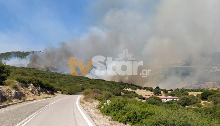 Φωτιά στη Νότια Εύβοια – Ισχυροί άνεμοι στην περιοχή – Συναγερμός στην ...
