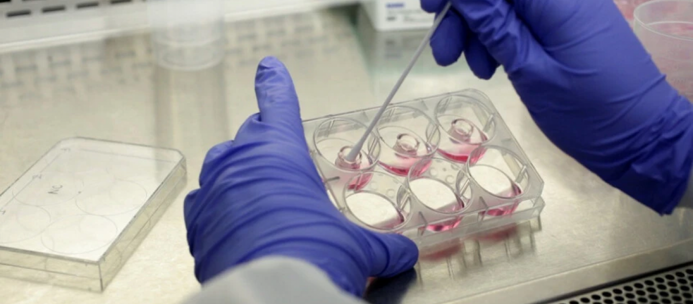 ΣΥΜΦΩΝΙΑ ΠΟΥ ΑΛΛΑΖΕΙ ΤΑ ΠΑΝΤΑ ΣΤΗΝ ΕΥΡΩΠΗ! ΣΥΜΦΩΝΙΑ ΓΙΑ ΘΕΡΑΠΕΙΑ COVID ...