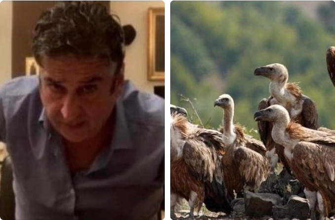 ΕΝΟΧΗ ΕΙΣΑΓΓΕΛΙΑ ΑΘΗΝΩΝ !!! ΣΥΝΕΡΓΟΣ ΣΤΟ ΣΧΕΔΙΟ ΕΞΟΝΤΩΣΗΣ ΚΑΙ ΦΙΜΩΣΗΣ ...