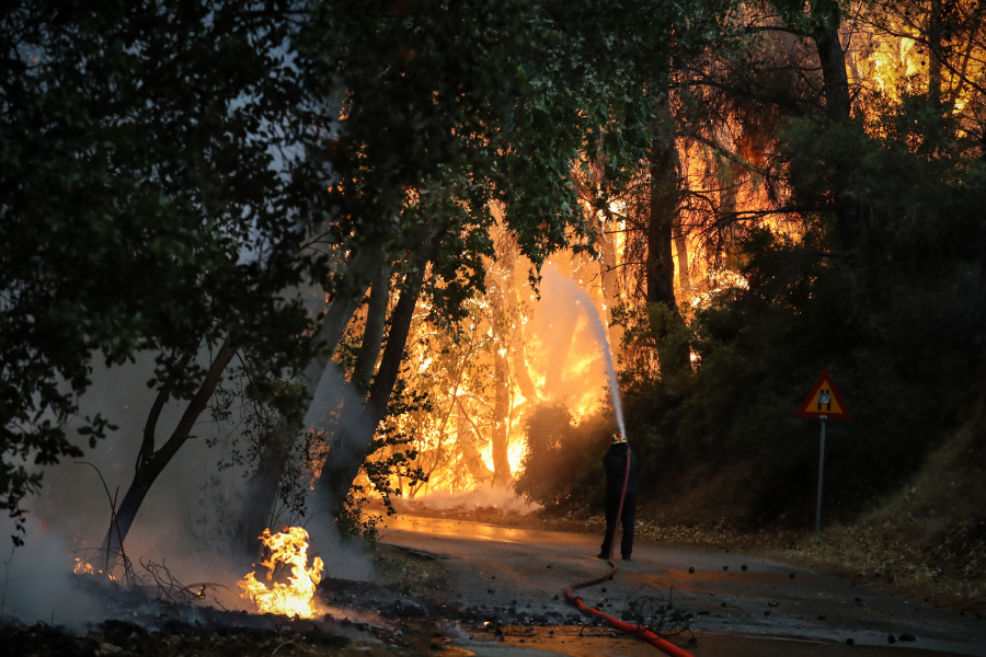 ΜΟΝΟ ΣΤΟ ΜΑΚΕΛΕΙΟ!!! ΚΑΨΑΝΕ ΤΑ ΔΑΣΗ ΚΑΙ ΣΤΗΝΟΥΝ ΤΑ ΑΙΟΛΙΚΑ ΠΑΡΚΑ ΤΩΝ ...