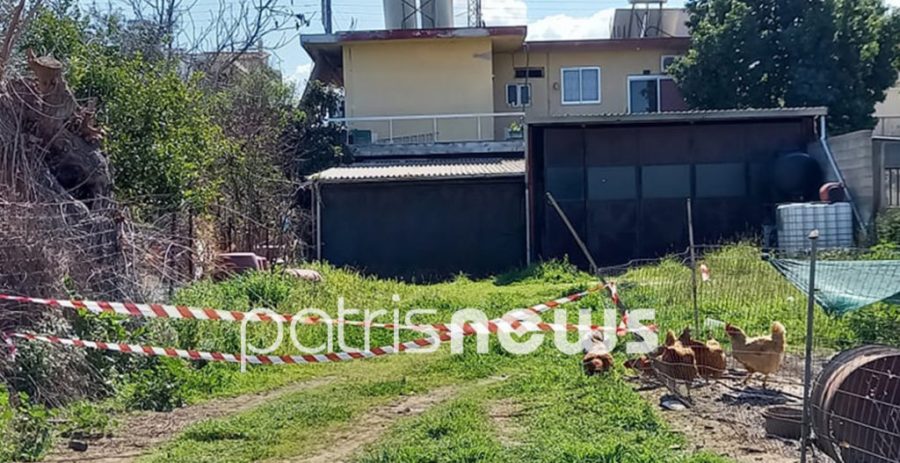 ΕΓΚΛΗΜΑ ΣΤΗΝ ΑΝΔΡΑΒΙΔΑ: ΚΟΝΤΑ ΣΤΗ ΣΥΛΛΗΨΗ ΤΟΥ ΔΡΑΣΤΗ Η ΑΣΤΥΝΟΜΙΑ – ΣΕ ...