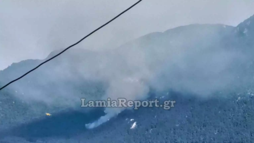 ΣΥΝΑΓΕΡΜΟΣ ΣΤΗΝ ΕΥΒΟΙΑ: ΣΤΟ ΠΟΔΙ Η ΠΥΡΟΣΒΕΣΤΙΚΗ ΓΙΑ ΔΥΟ ΜΕΓΑΛΕΣ ΦΩΤΙΕΣ ...