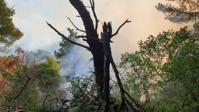 ΣΥΝΑΓΕΡΜΟΣ ΣΤΗΝ ΠΥΡΟΣΒΕΣΤΙΚΗ! ΣΕ ΕΞΕΛΙΞΗ Η ΜΕΓΑΛΗ ΦΩΤΙΑ ΣΤΗΝ ΛΕΥΚΑΔΑ ...