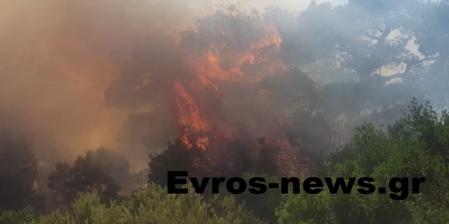 ΜΕΓΑΛΗ ΦΩΤΙΑ ΣΤΟΝ ΕΒΡΟ – ΣΗΚΩΘΗΚΑΝ ΕΝΑΕΡΙΑ ΜΕΣΑ ΣΤΟ ΑΡΙΣΤΗΝΟ ...