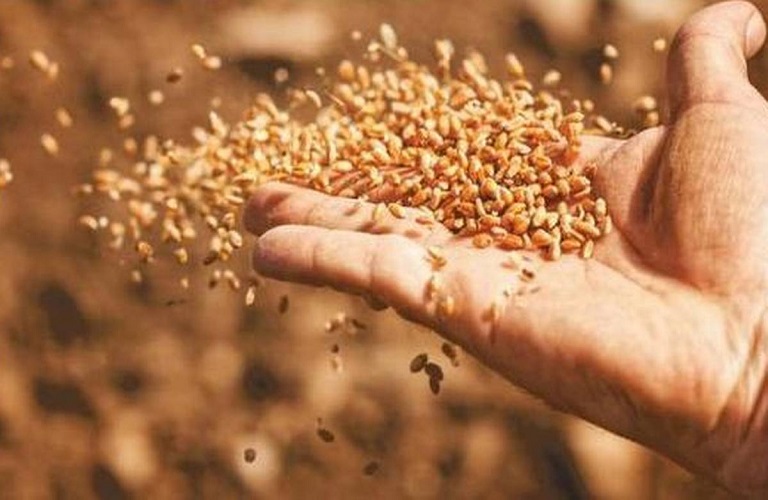 ΔΙΑΛΥΕΤΑΙ ΤΟ ΣΥΜΠΑΝ ΑΛΛΑ Ο ΚΟΥΛΗΣ ΚΟΙΜΑΤΑΙ ΟΡΘΙΟΣ!!! ΟΙ ΝΕΟΝΑΖΙ ΤΟΥ ...