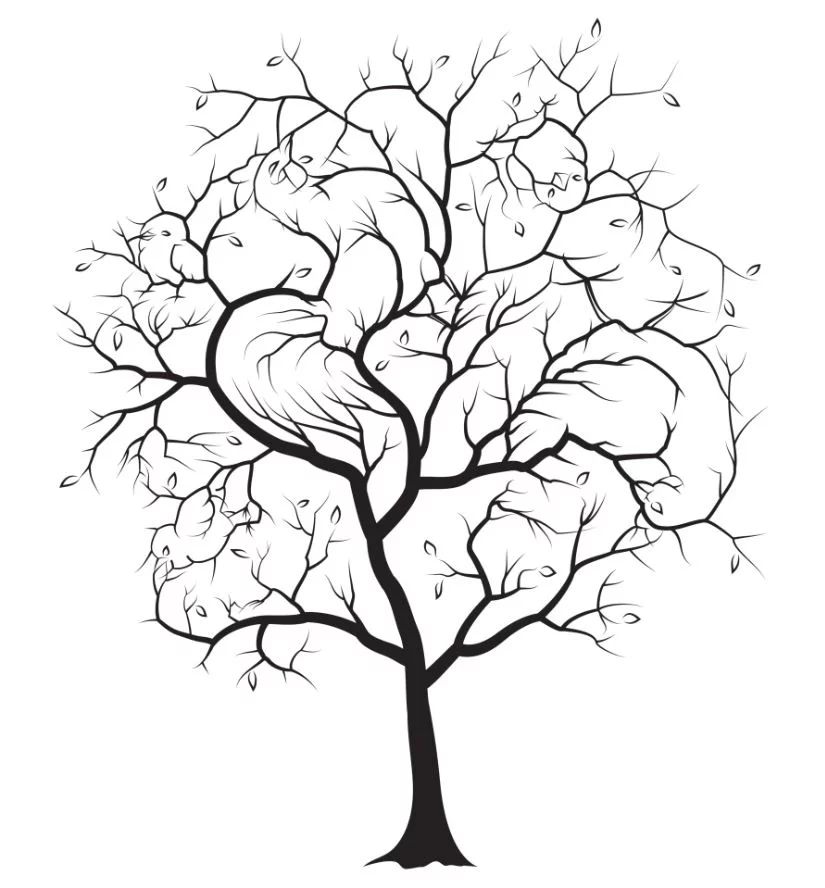 Η οπτική ψευδαίσθηση που θα σας κάνει να «κολλήσετε» – Μπορείτε να βρείτε τα 5 ζώα; [ΦΩΤΟ ...