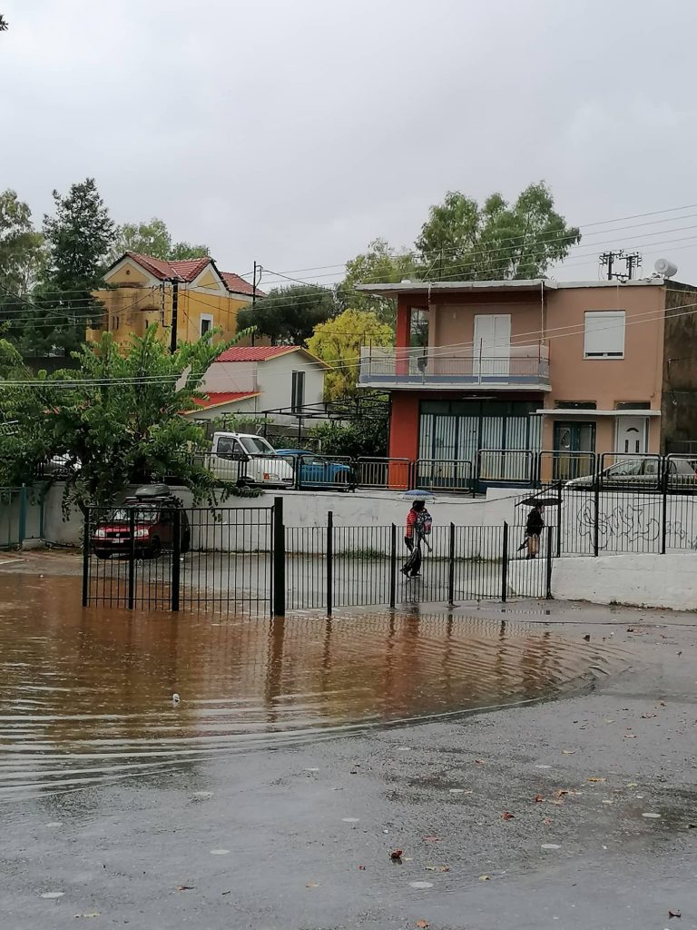 ΤΑ ΧΑΛΙΑ ΤΗΣ ΝΕΟΤΑΞΙΤΙΣΣΑΣ ΚΕΡΑΜΕΩΣ!!!! Μεγάλα προβλήματα από τη ...