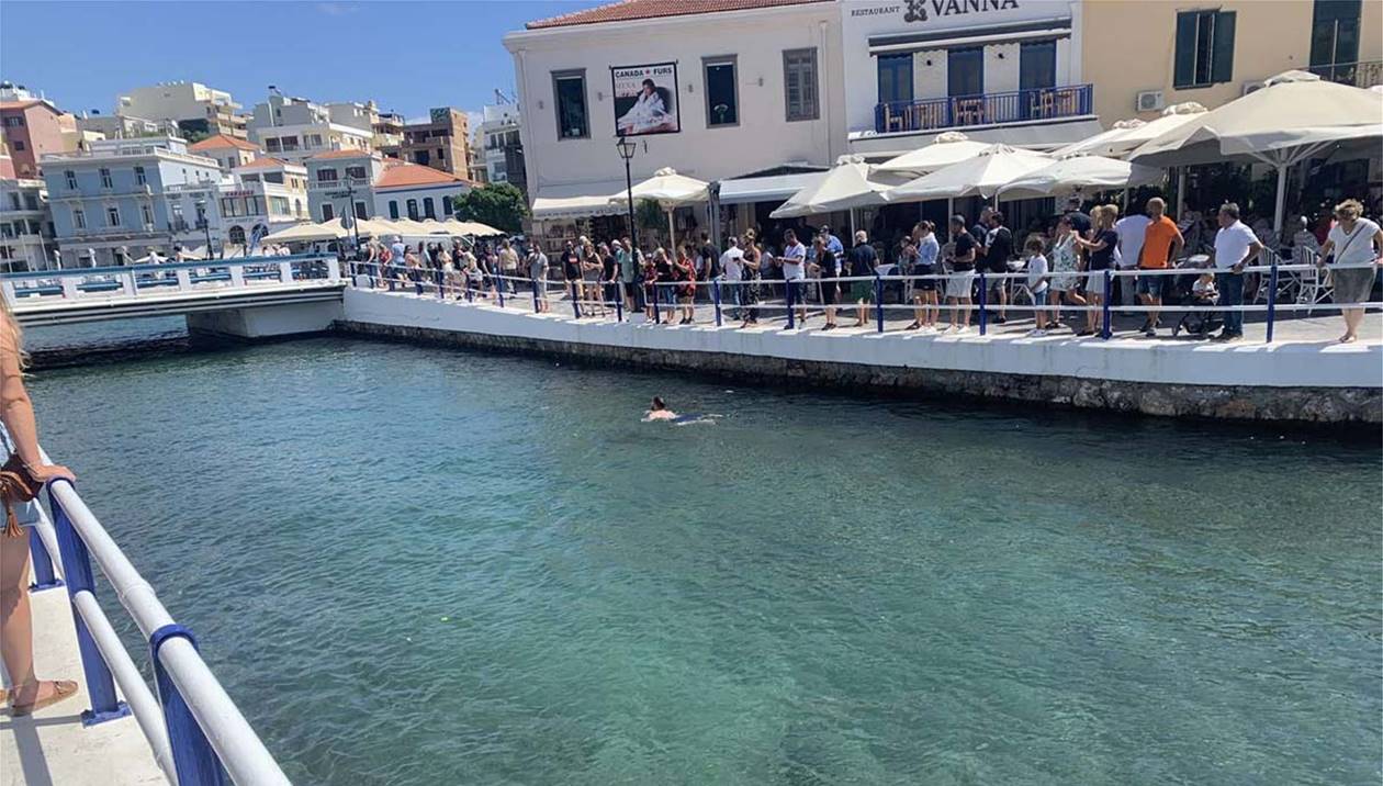 ΦΟΒΕΡΟ ΠΕΡΙΣΤΑΤΙΚΟ στον Άγιο Νικόλαο: Βούτηξε στην λίμνη για να σώσει ...