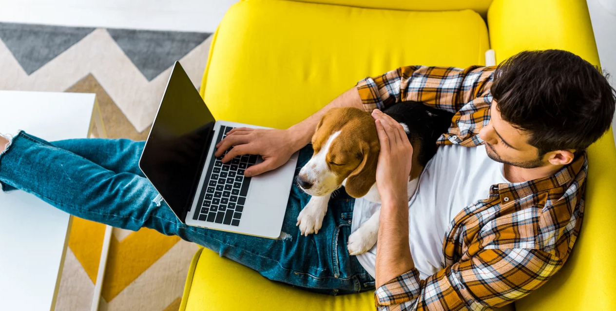 Είναι η Τρίτη η νέα Δευτέρα; Πώς η τηλεργασία άλλαξε την εργασιακή ...