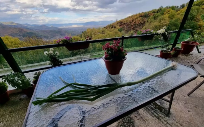 Κάγκελο έμεινε όταν έβγαλε απ’ το χωράφι του πράσο 1,5 μέτρου ...