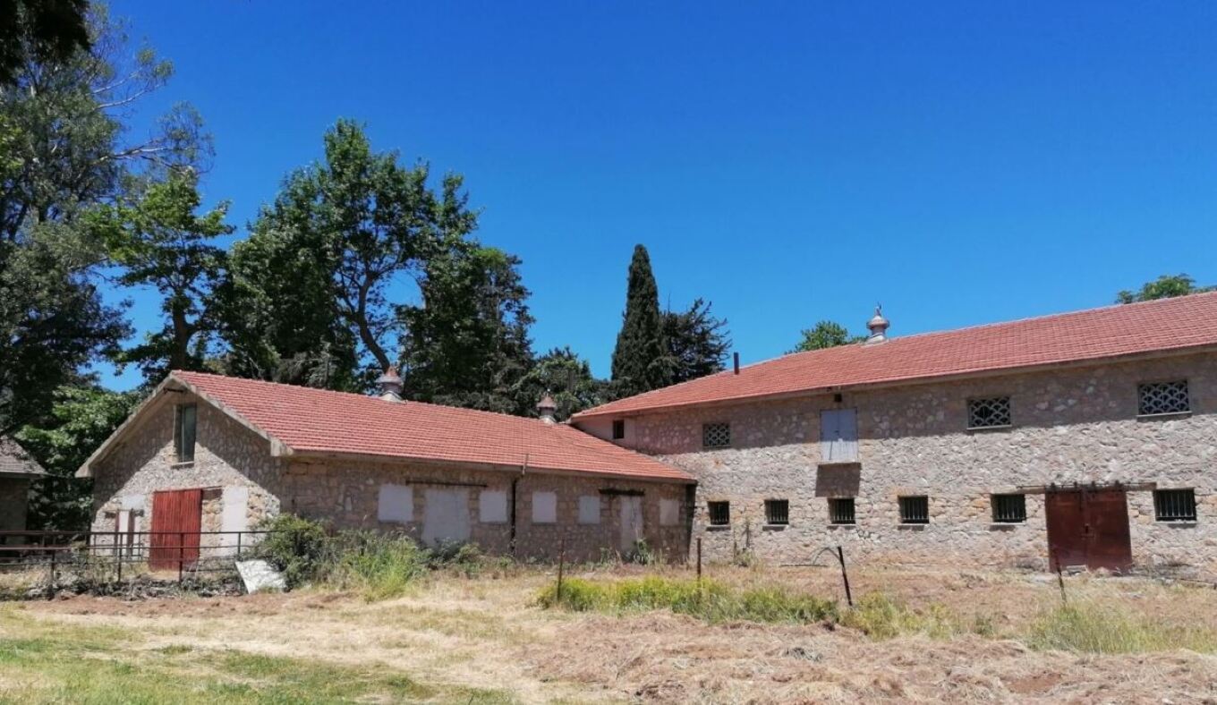 Τατόι: Η άγνωστη ιστορία του – Makeleio.gr