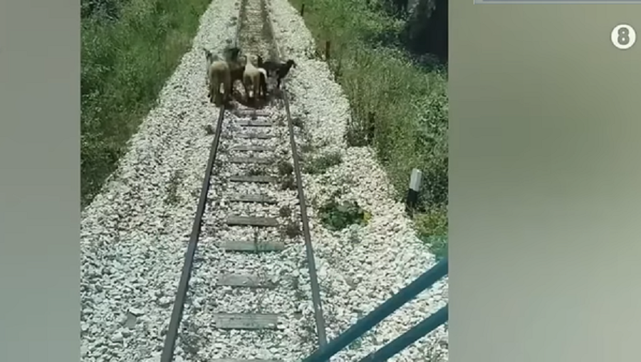 ΨΗΦΙΣΑΤΕ ΤΟΥΣ ΦΟΝΙΑΔΕΣ!!!! ΤΡΕΙΣ ΜΗΝΕΣ ΠΕΡΑΣΑΝ ΑΠΟ ΤΗΝ ΑΙΜΑΤΟΧΥΣΙΑ ΤΩΝ ...
