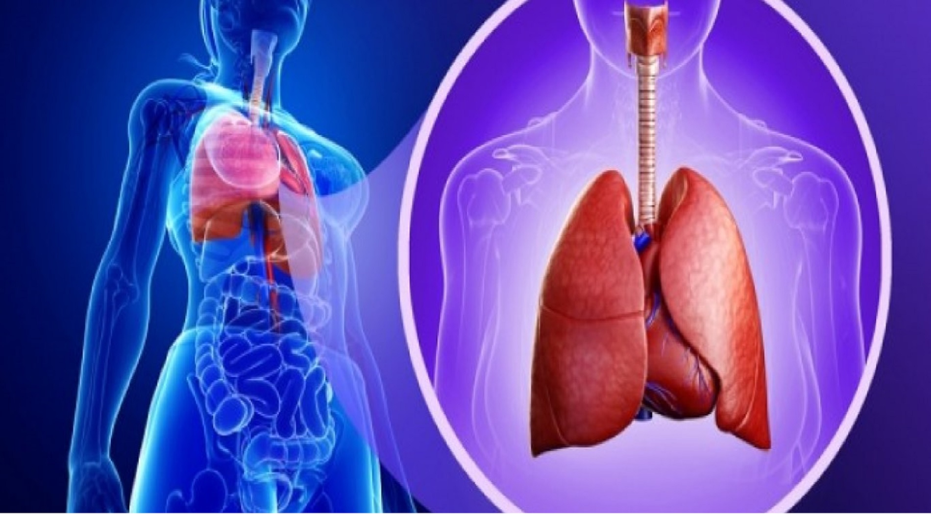 Κυστική ίνωση: Αυτές είναι οι βιταμίνες που βοηθούν στην αντιμετώπισή ...