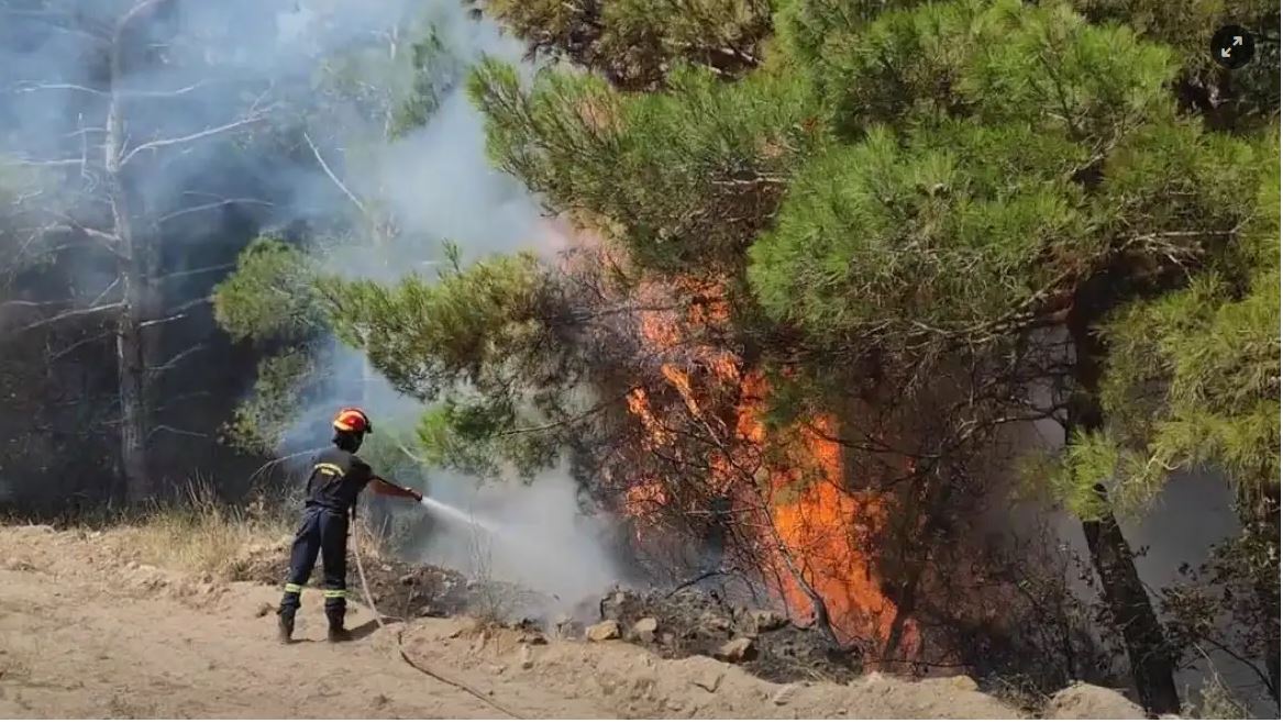 Υπό μερικό έλεγχο η φωτιά σε δασική έκταση στα Μέθανα – Makeleio.gr