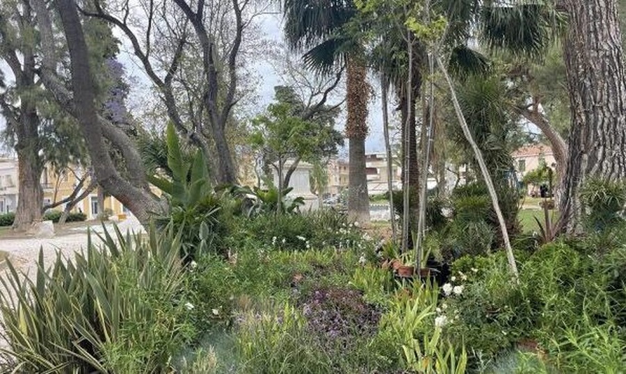 Ναύπλιο: Πρασινίζει η πλατεία Κολοκοτρώνη – Makeleio.gr
