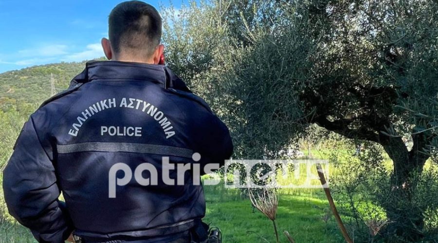 ΑΓΡΙΑ ΔΟΛΟΦΟΝΙΑ ΣΤΗΝ ΗΛΕΙΑ – 80ΧΡΟΝΟΣ ΠΥΡΟΒΟΛΗΣΕ ΚΑΙ ΣΚΟΤΩΣΕ ΠΑΤΕΡΑ ...