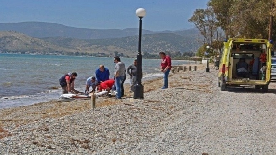 Κρήτη: Χωρίς τις αισθήσεις του ανασύρθηκε 17χρονος που έκανε μπάνιο ...