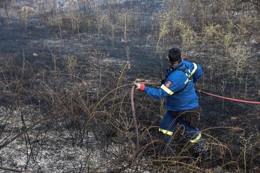 Μεγάλος ο κίνδυνος για πυρκαγιά από τα ακαθάριστα οικόπεδα – Makeleio.gr