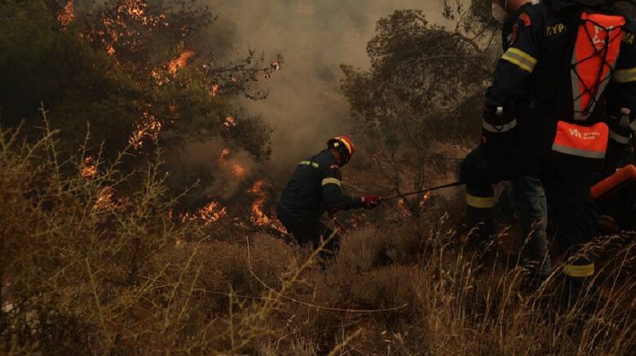 ΣΥΜΒΑΙΝΕΙ ΤΩΡΑ: ΦΩΤΙΑ ΣΕ ΔΑΣΙΚΗ ΕΚΤΑΣΗ ΣΤΗ ΘΑΣΟ – «ΠΟΥ ΕΙΝΑΙ ΤΑ ...