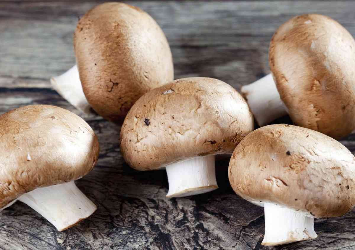 Τα οφέλη που έχουν για την υγεία τα μανιτάρια – Θερμίδες και ιδιότητες ...