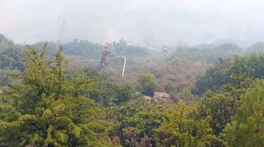 (ΑΝΑΝΕΩΜΕΝΟ) ΠΑΡΑΜΕΝΕΙ ΑΝΕΞΕΛΕΓΚΤΗ Η ΦΩΤΙΑ ΣΤΗ ΡΟΔΟ – ΕΚΚΕΝΩΝΟΝΤΑΙ ΔΥΟ ...