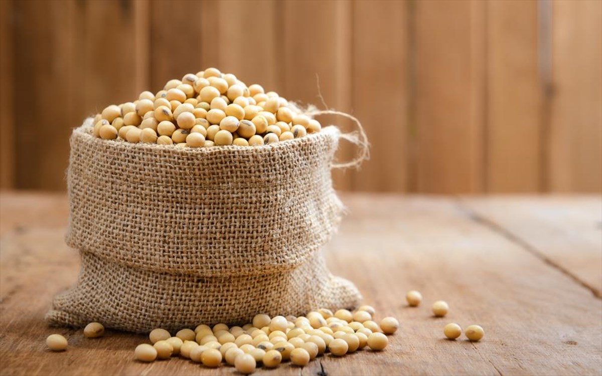 Σόγια: Όσα πρέπει να γνωρίζετε για την τροφή που θωρακίζει την καρδιά ...