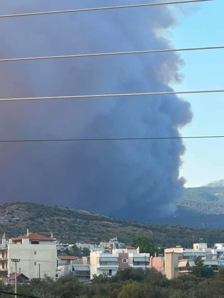 ΕΠΙΓΕΙΑ ΚΟΛΑΣΗ ΣΤΗ ΦΥΛΗ: ΜΕΓΑΛΗ ΑΝΑΖΩΠΥΡΩΣΗ ΣΤΗ ΧΑΣΙΑ – ΑΠΑΝΩΤΑ ...