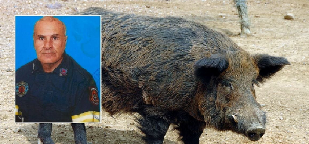 ΦΡΙΚΗ: ΑΓΡΙΟΓΟΥΡΟΥΝΑ ΚΑΤΑΣΠΑΡΑΞΑΝ ΤΟΝ ΑΓΝΟΟΥΜΕΝΟ ΠΥΡΟΣΒΕΣΤΗ ΣΤΗΝ ΕΥΒΟΙΑ ...