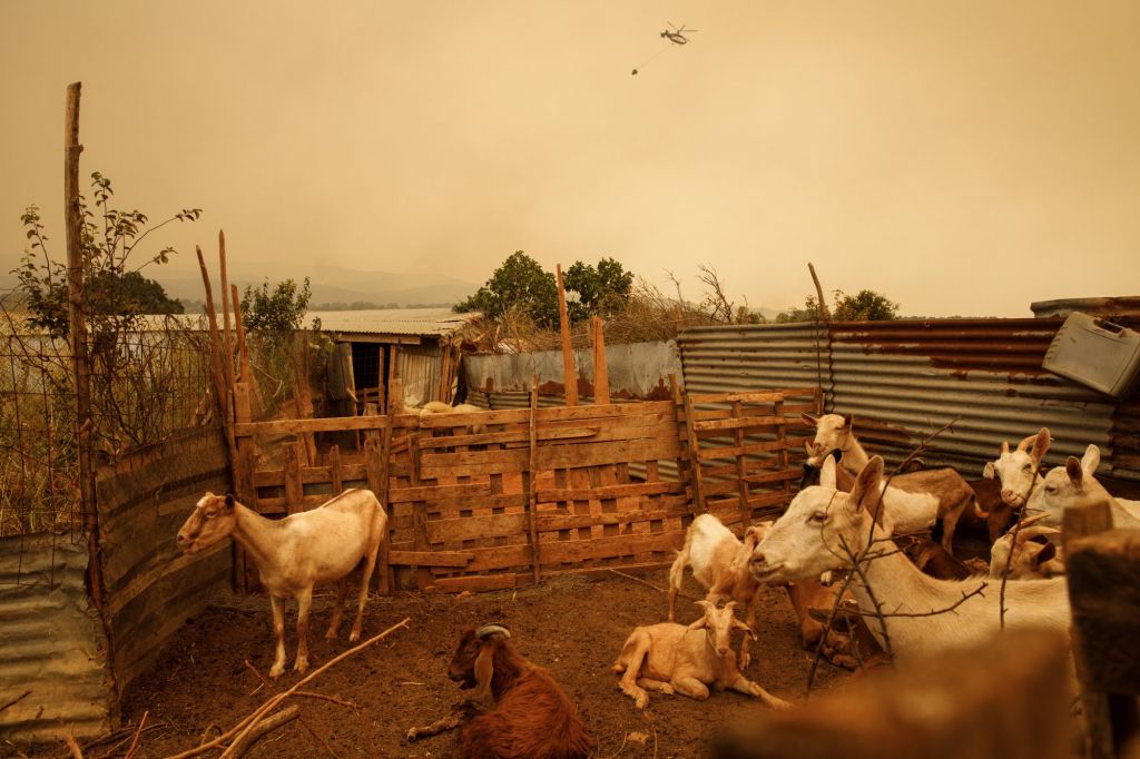 ΑΥΤΗ ΕΙΝΑΙ Η ΚΥΒΕΡΝΗΣΗ ΤΟΥ 41ΤΑΚΑΤΟ! ΑΝΘΡΩΠΟΙ ΕΧΟΥΝ ΜΕΙΝΕΙ ΑΣΤΕΓΟΙ ...
