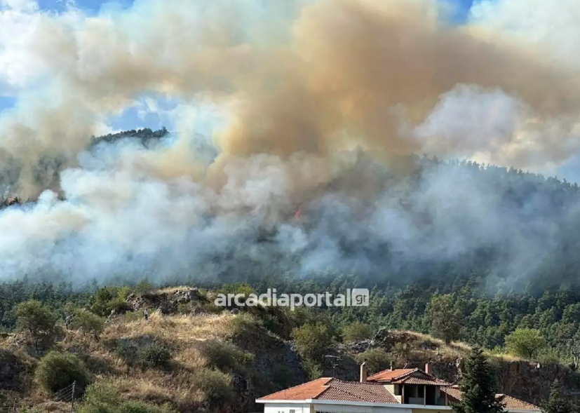 ΜΕΓΑΛΗ ΦΩΤΙΑ ΣΤΗΝ ΤΡΙΠΟΛΗ: ΚΑΙΓΕΤΑΙ ΤΟ ΔΑΣΟΣ ΠΑΝΩ ΑΠΟ ΤΗΝ ΠΟΛΗ ...