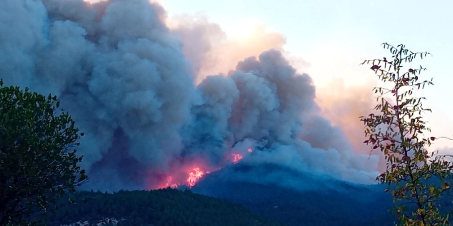 ΑΠΑΝΘΡΑΚΩΜΕΝΟΙ ΒΡΕΘΗΚΑΝ 18 ΛΑΘΡΟΜΕΤΑΝΑΣΤΕΣ ΣΤΟ ΔΑΣΟΣ ΤΗΣ ΔΑΔΙΑΣ ΟΠΩΣ ...