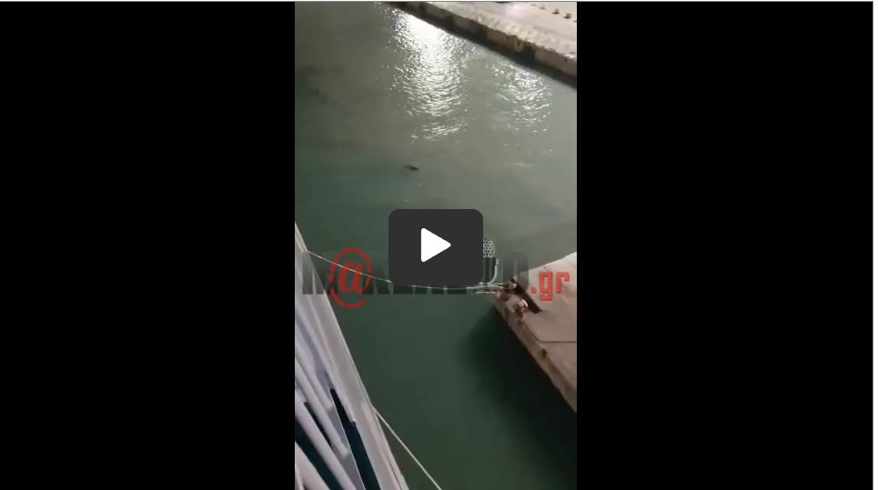 ΑΠΟ ΠΝΙΓΜΟ ΕΧΑΣΕ ΤΗ ΖΩΗ ΤΟΥ Ο ΑΤΥΧΟΣ ΑΝΤΩΝΗΣ ΠΟΥ ΠΡΟΣΠΑΘΗΣΕ ΝΑ ΜΠΕΙ ΣΤΟ ...