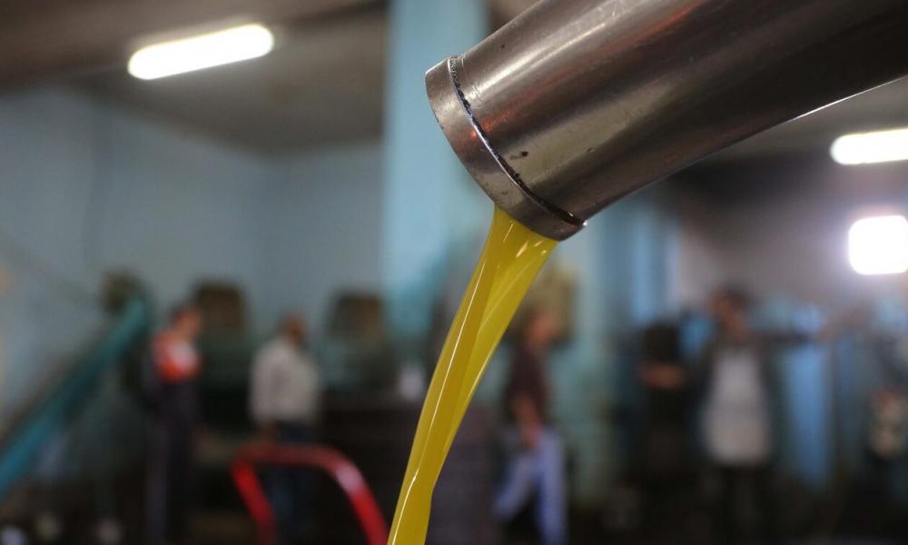 Eλαιόλαδο από… χρυσάφι – Εκτοξεύεται η τιμή – Makeleio.gr
