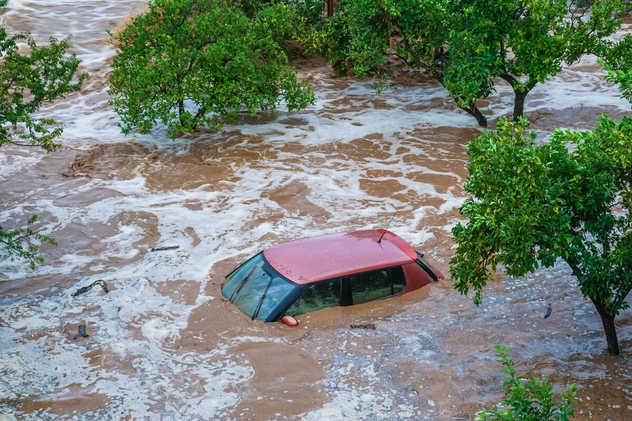 (ΑΝΑΝΕΩΜΕΝΟ) ΤΡΑΓΙΚΕΣ ΣΤΙΓΜΕΣ ΣΤΗΝ ΗΛΕΙΑ: ΝΕΚΡΗ Η ΓΥΝΑΙΚΑ ΠΟΥ ΕΙΧΕ ...
