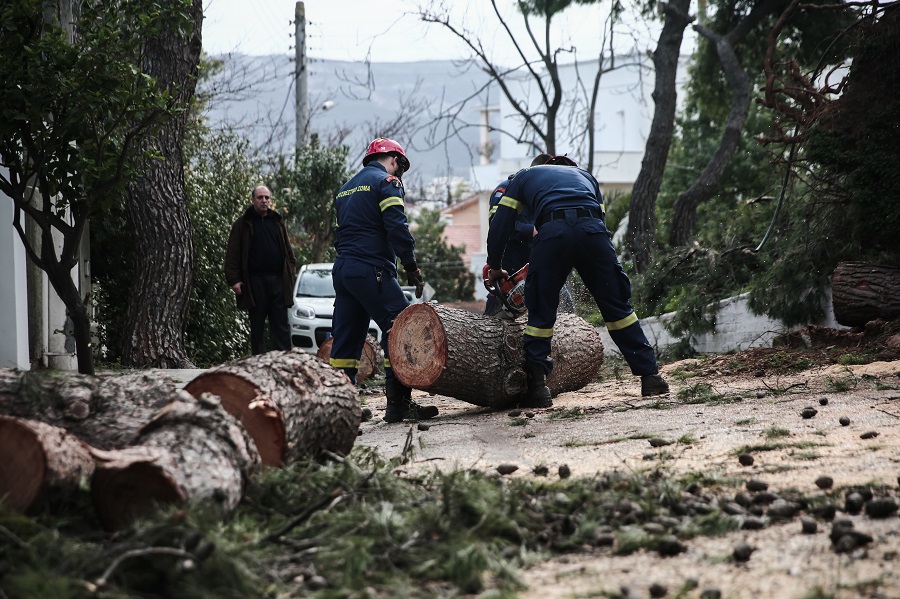 Κακοκαιρία στην Θεσσαλονίκη: Πτώσεις δέντρων και παρασύρσεις κάδων λόγω ...