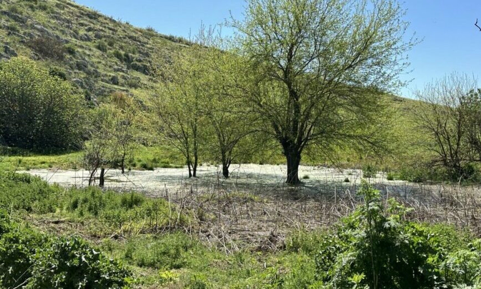 Φάρσαλα: Αναβλύζει νερό μετά από 44 χρόνια! – Makeleio.gr