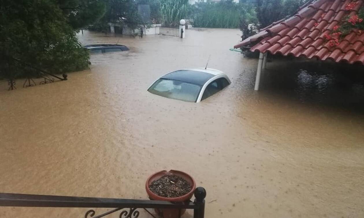 Η ΕΙΣΑΓΓΕΛΙΑ ΠΛΗΜΜΕΛΕΙΟΔΙΚΩΝ ΧΑΛΚΙΔΑΣ ΑΣΚΕΙ ΠΟΙΝΙΚΗ ΔΙΩΞΗ ΚΑΤΑ 19