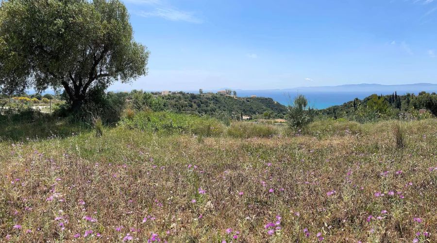 ΠΕΡΑΣΑΝ ΝΥΧΤΑ ΝΟΜΟΣΧΕΔΙΟ ΠΟΥ ΒΑΖΕΙ “ΘΗΛΙΑ ΣΤΟΝ ΛΑΙΜΟ” ΧΙΛΙΑΔΩΝ ΚΑΤΟΧΩΝ ...
