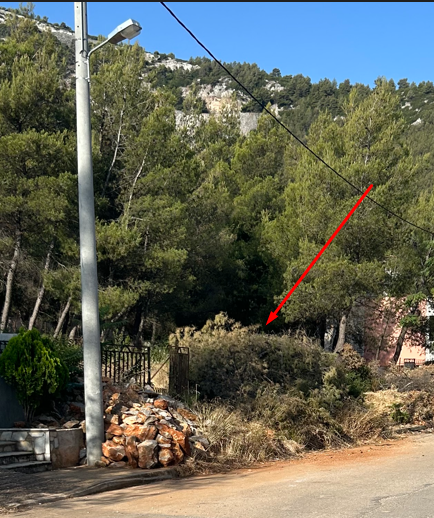 ΕΤΟΙΜΟΣ Ο ΔΙΟΝΥΣΟΣ ΝΑ ΚΑΕΙ ! ΟΙ ΕΙΚΟΝΕΣ ΠΑΝΩ ΑΠΟ ΤΙΣ ΠΑΙΔΙΚΕΣ ...